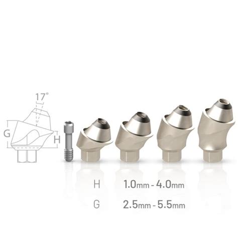 17° Angled Classic Multi Unit Abutment M1 4 Biohorizons®