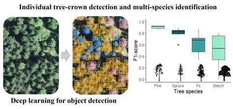 remote sensing mdpi on linkedin mostcited deeplearning forest