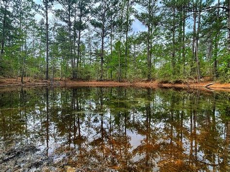 47 Acres Of Recreational Land For Sale In Centerville Texas Landsearch