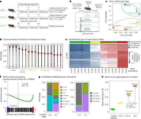 Maryam Azimi Phd Msc On Linkedin Conserved Epigenetic Hallmarks Of
