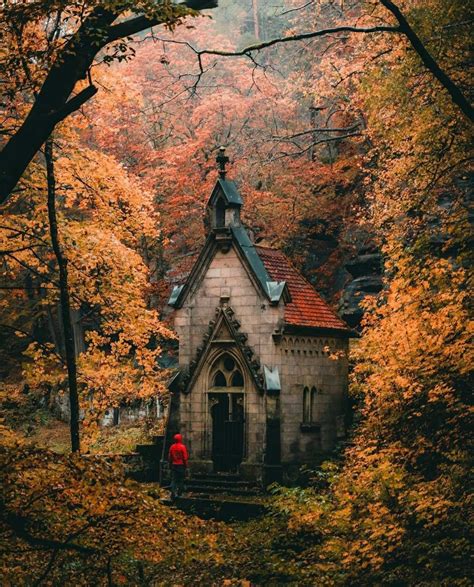 Make Like A Tree And Leaf