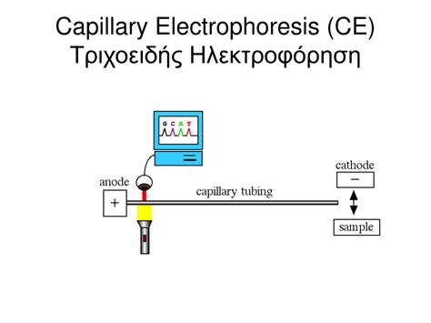 PPT Qualification Of Capillary Electrophoresis Instrument PowerPoint Presentation ID 9427767