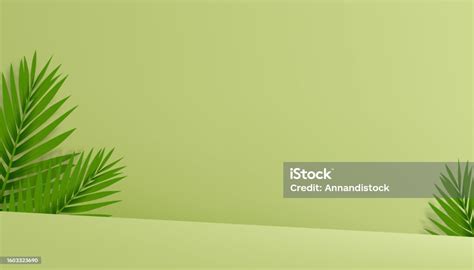 야자수 잎과 녹색 벽 콘크리트에 그림자가 있는 스튜디오 배경 벡터 빈 제품 디스플레이 코코넛 잎 봄 여름 화장품 스킨케어 뷰티 프리젠테이션을 위한 배경 배너 0명에 대한