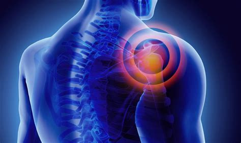 7 Day Shoulder Mobility Challenge Markow Training Systems