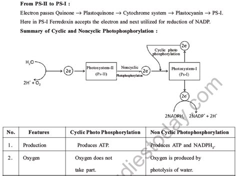 Neet Biology Photosynthesis Mcqs Set A With Answers