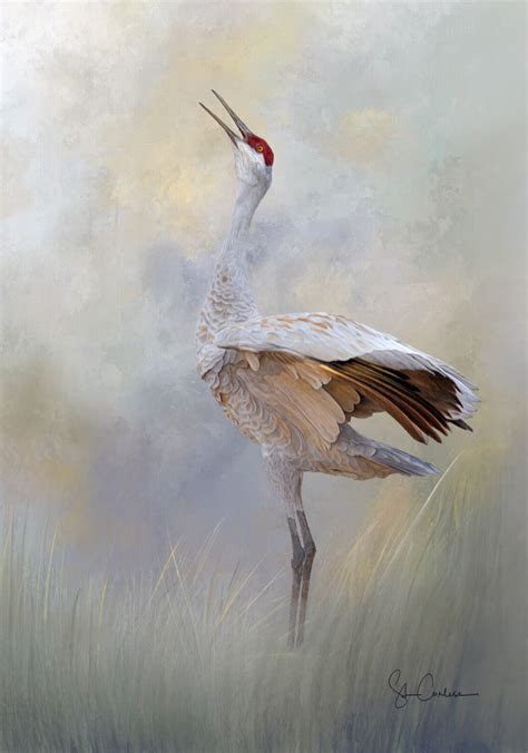 Corless Sandra Corrales Society Of Artists