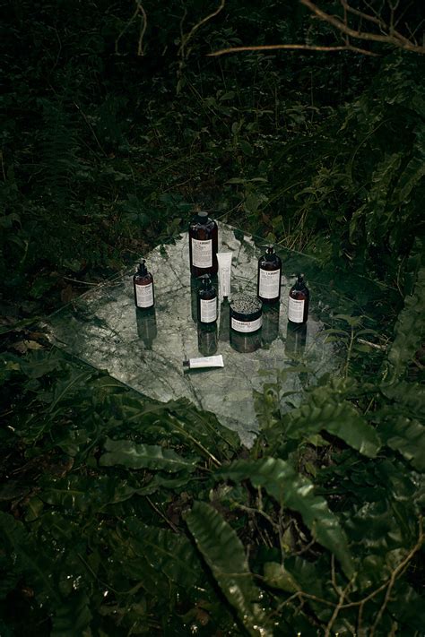 La Bruket 라부르켓 핸드 크림 스프루스 240ml S I Village 에스아이빌리지