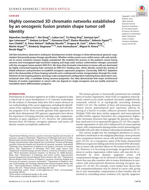 Pdf Highly Connected 3d Chromatin Networks Established By An
