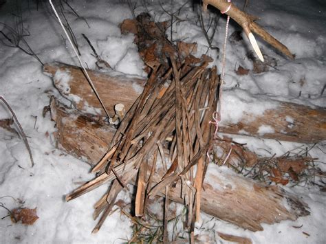 Bens Blog The Figure 4 Spring Snare