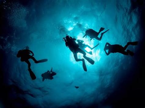 Bali Indonesia 2 Inmersiones Gili Mimpang Y Tepekong Reservar En