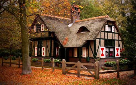 Incríveis casas no meio da floresta