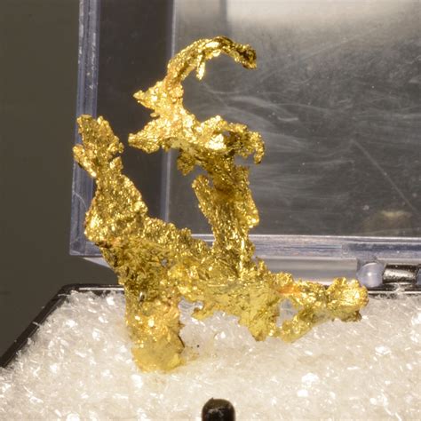 Native Gold Tb88 Kristalle Est 1971