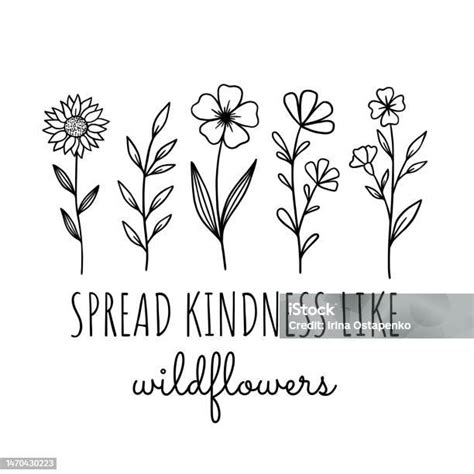 야생화처럼 친절을 전파하십시오 영감 따옴표 긍정적 인 따옴표동기 부여 손으로 그린 꽃 야생화의 손으로 그린 그림 드로잉 라인 아트 잉크 벡터 0명에 대한 스톡 벡터 아트 및