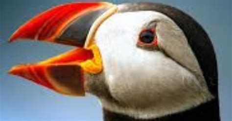 Datamotion Public Apis Postman Api Network