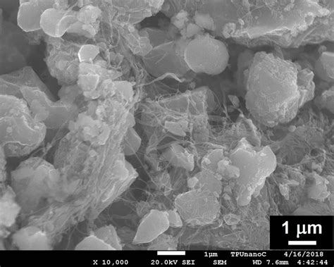 B Sem Image Showing Morphology Of Composite Powder Download