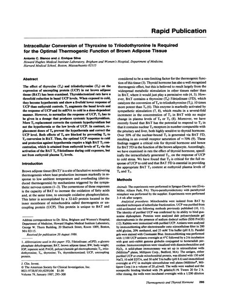 Intracellular Conversion Of Thyroxine To Triiodothyronine Is Required