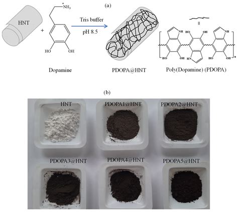 Polymers Free Full Text Enhanced Bioactive Properties Of Halloysite Nanotubes Via