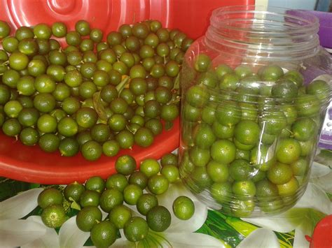 RESEPI SUMBANGAN JY 2008 2023 877 IKAN TENGGIRI JERUK MASAK ASAM