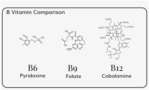 Vitamin B Structure