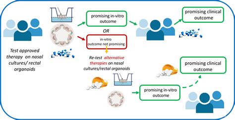 Patient Derived Primary And Ipsc Derived Epithelial Culture Have The