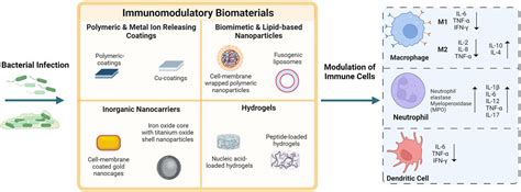 Frontiers Engineering Immunomodulatory Biomaterials To Combat