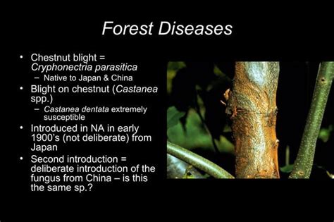 Population Genetics In Detail With Pictorial Representation Ppt