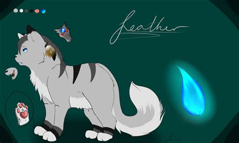 Feather Reference February 2013 By Featherclawspirit On Deviantart