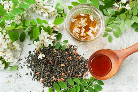 열매를 곁들인 말린 차 잎 유리 제품 컵에 아카시아 꽃국물 흰 시멘트 배경에 꿀을 곁들인 나무 숟가락 식물의 유용한 특성 0명에 대한 스톡 사진 및 기타 이미지 Istock