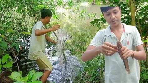 আজকে নদীতে জাল দিয়ে একটা মাগুর মাছ পেলাম। I Caught A Magur Fish With A