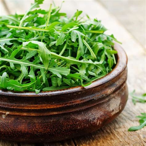 Best Arugula Substitute 13 Amazingly Tasty Alternatives To Use
