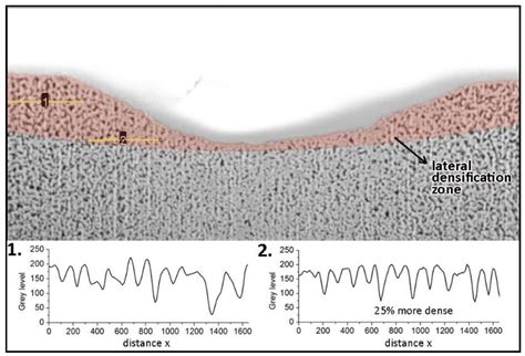 Understanding The Interdependence Of Penetration Depth And Deformation