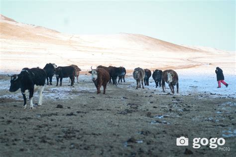 Энэ жил 19 9 сая малыг эдийн засгийн эргэлтэд оруулна