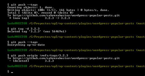 How to delete a Git tag locally and remotely Héctor Cabrera