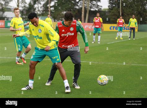 SÃO PAULO SP TREINO DO PALMEIRAS Pictured Fabricio player and Vagner goalkeeper
