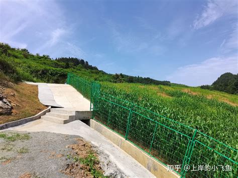 生态修复—锰矿山综合治理 知乎