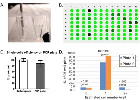 Single Cell Rna Sequencing Ngs Analysis