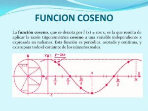 Cómo Graficar una Función Coseno 2025