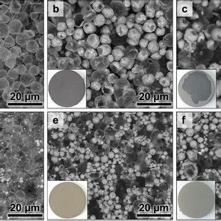 Presents The Macrographs And The Morphologies Of The Two Different