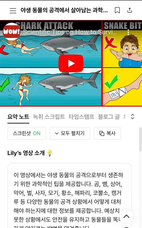 해외 유튜브 영상까지 번역 요약해 주는 인공지능 영상 요약 서비스 Lilys Ai 릴리스에이아이