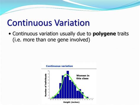 Ppt Meiosis And Variation Powerpoint Presentation Free Download Id