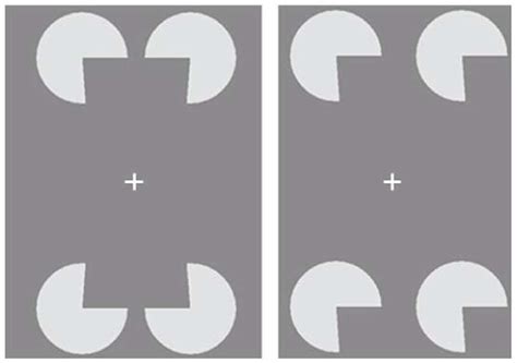 Stimuli To Perceive The Illusory Gray Rectangle In The Absence Of Download Scientific Diagram