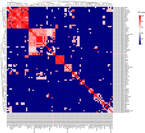 Heatmap Of The Average Nucleotide Identity Ani Values For 83