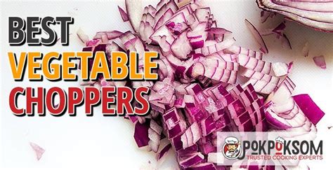 Best Vegetable Choppers Reviews Updated