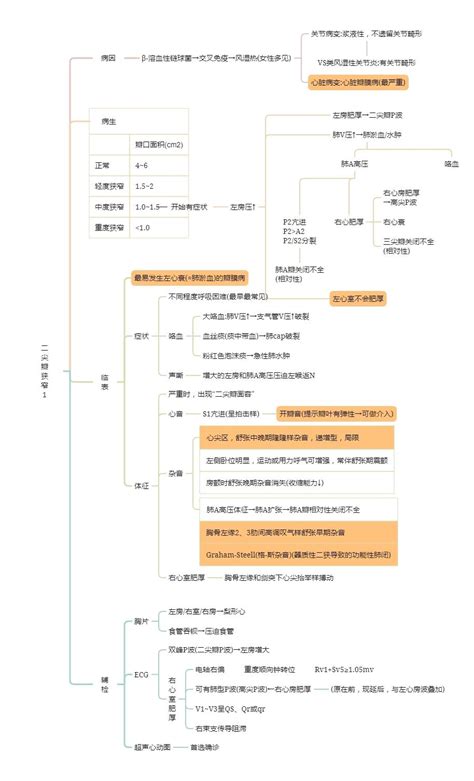 思维导图内科学第三章 循环系统 上 存档打好基础 强大的心脏和大脑 哔哩哔哩