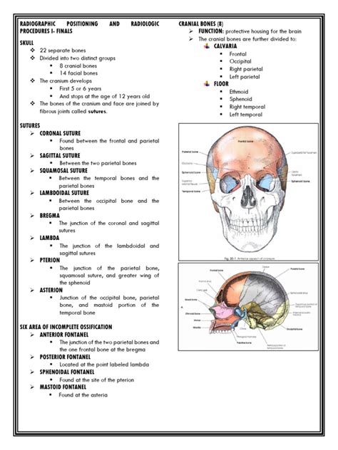 Radiographic Positioning And Radiologic Procedures I Finals Pdf