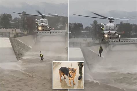 Los Angeles Fire Department Rescue Man From Raging Rivers After Jumping