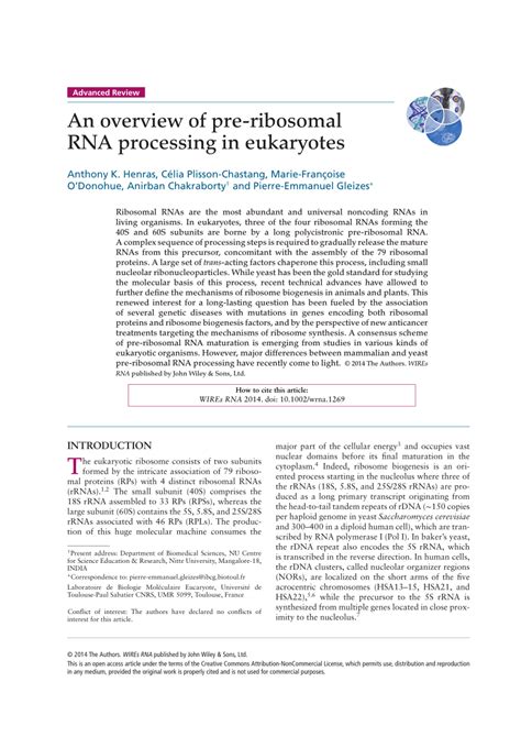 Pdf An Overview Of Pre Ribosomal Rna Processing In Eukaryotes