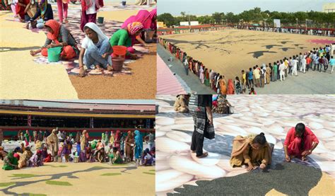 Birds Nurturing World Record Dera Sacha Sauda