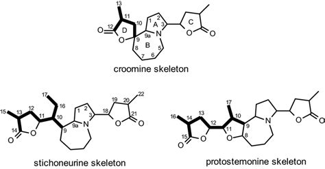 Three Basic Structures Of Stemona Alkaloids Greger 2006 Download