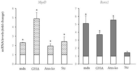 Phosphodiesterase 5a Signalling In Skeletal Muscle Pathophysiology